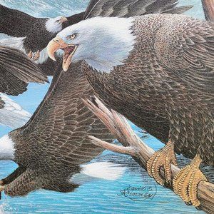David E Kinney | Art | Vintage Signed David E Kinney Eagle Catch Fish ...